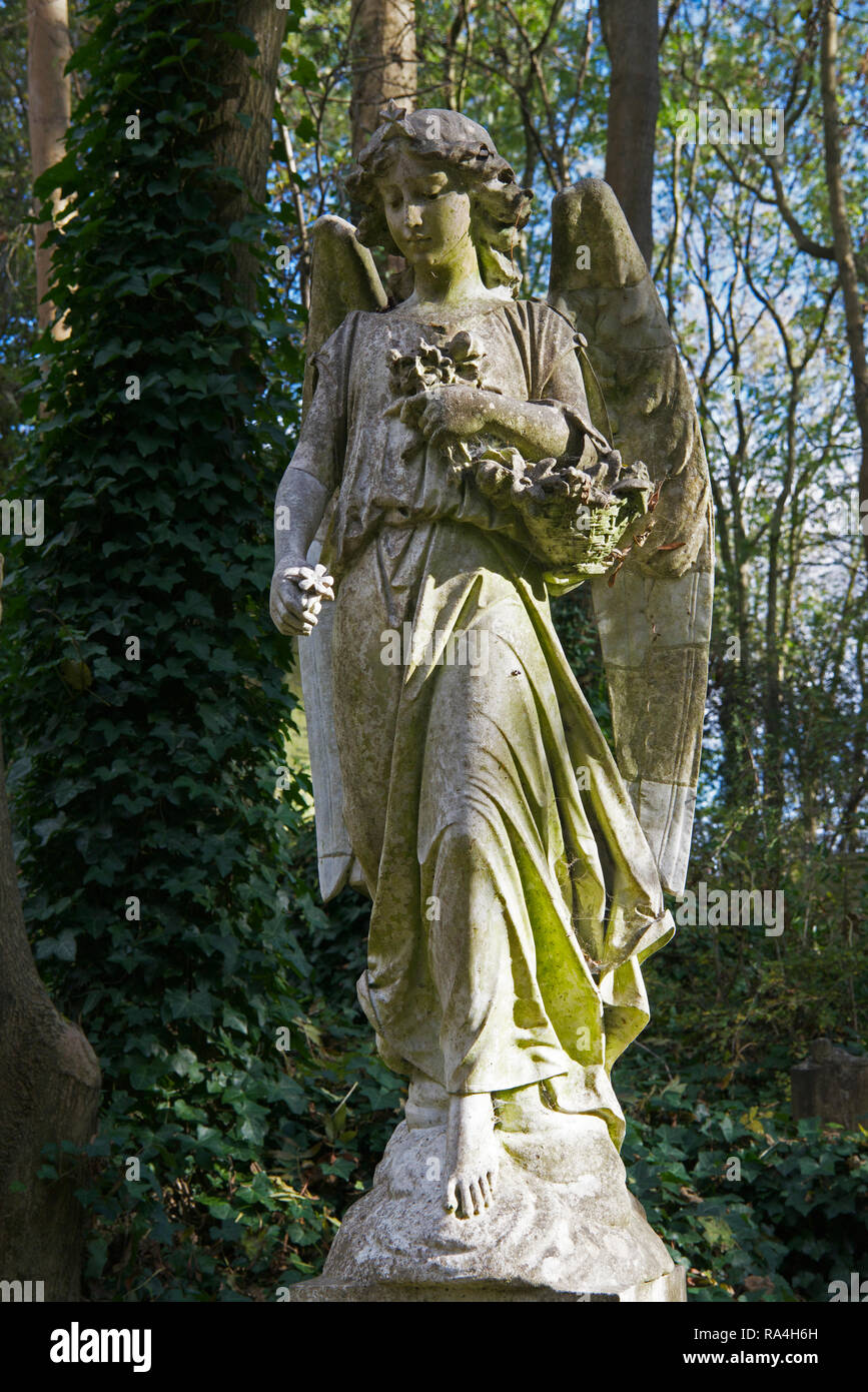 Beautiful sculpture of angel West Highgate cemetery London England ...