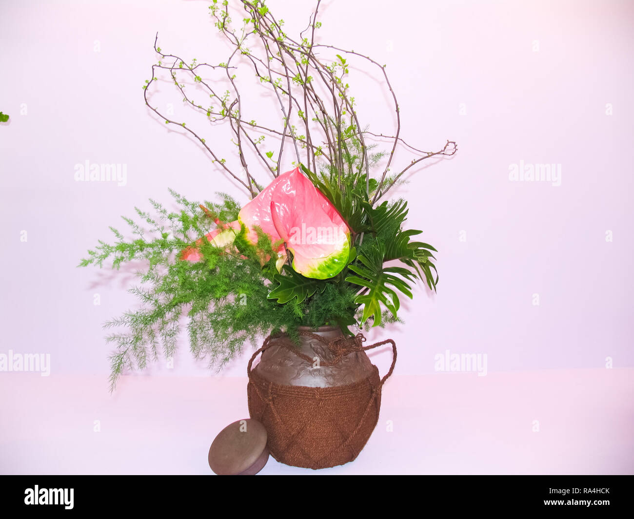 Ikebana. Dwarf trees in pots Houseplants Dwarf trees in pots Stock ...