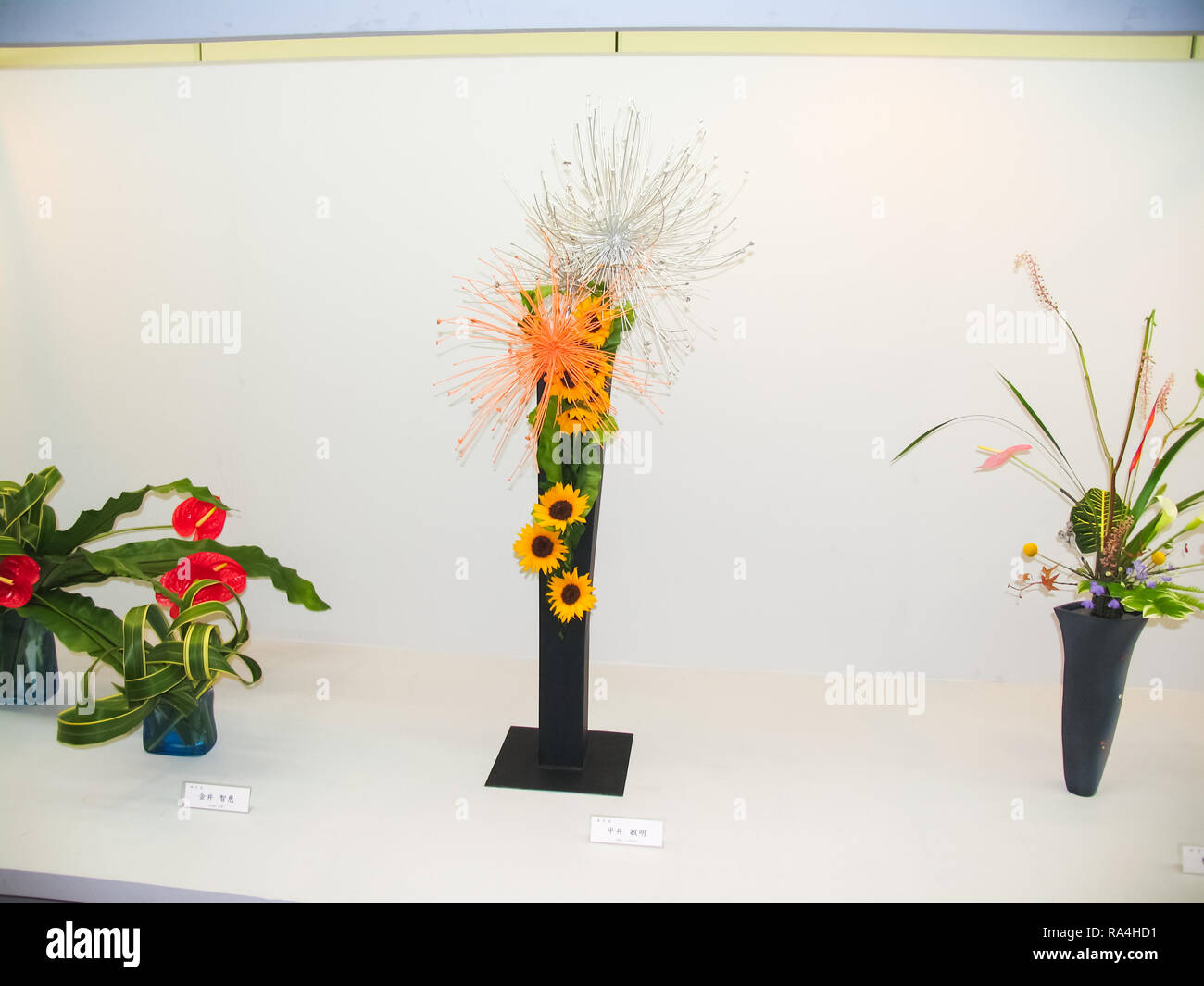 Ikebana. Dwarf trees in pots Houseplants Dwarf trees in pots Stock ...