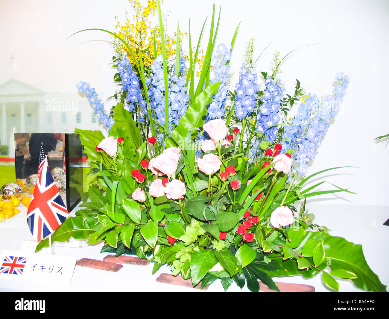 Ikebana. Dwarf trees in pots Houseplants Dwarf trees in pots Stock ...