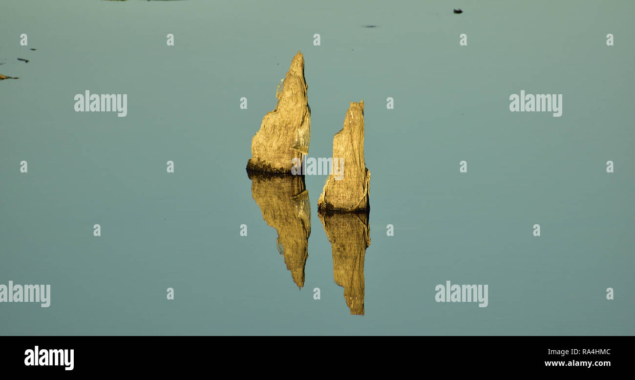 Shadow of object forming on water during sunset Stock Photo - Alamy