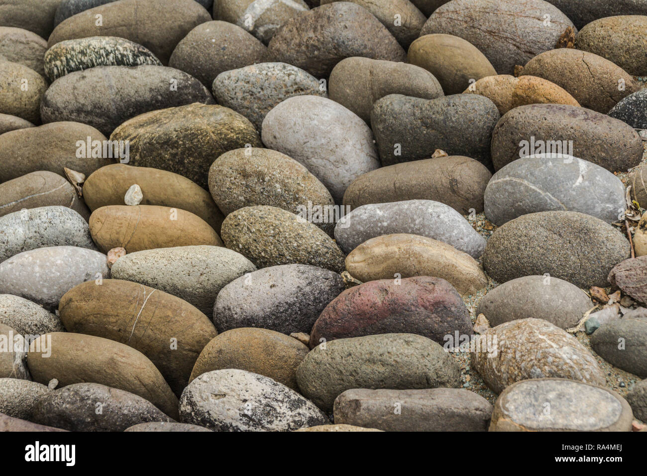 Photograph of a rounded river rocks background Stock Photo - Alamy