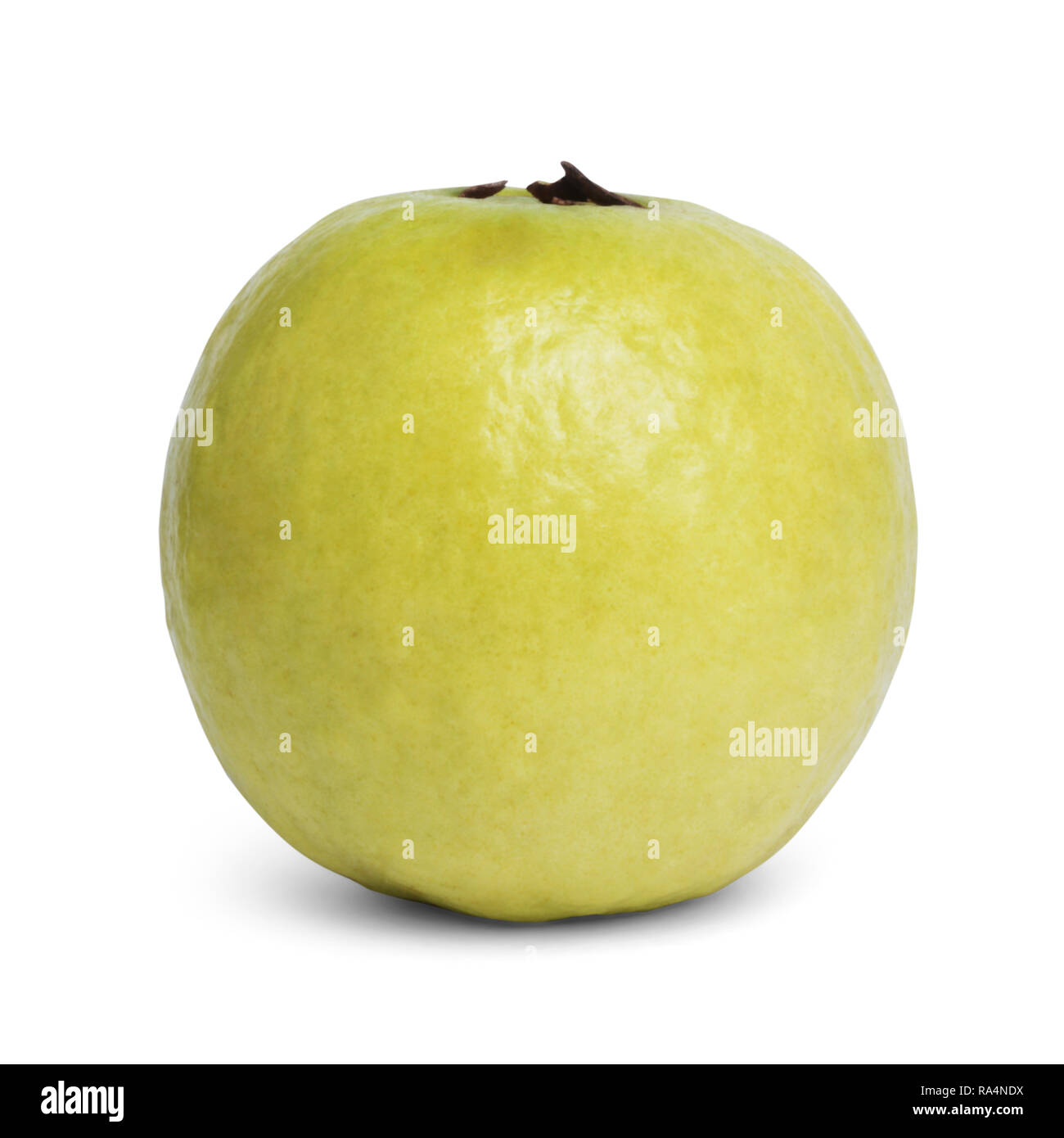 Guava isolated on white background Stock Photo - Alamy