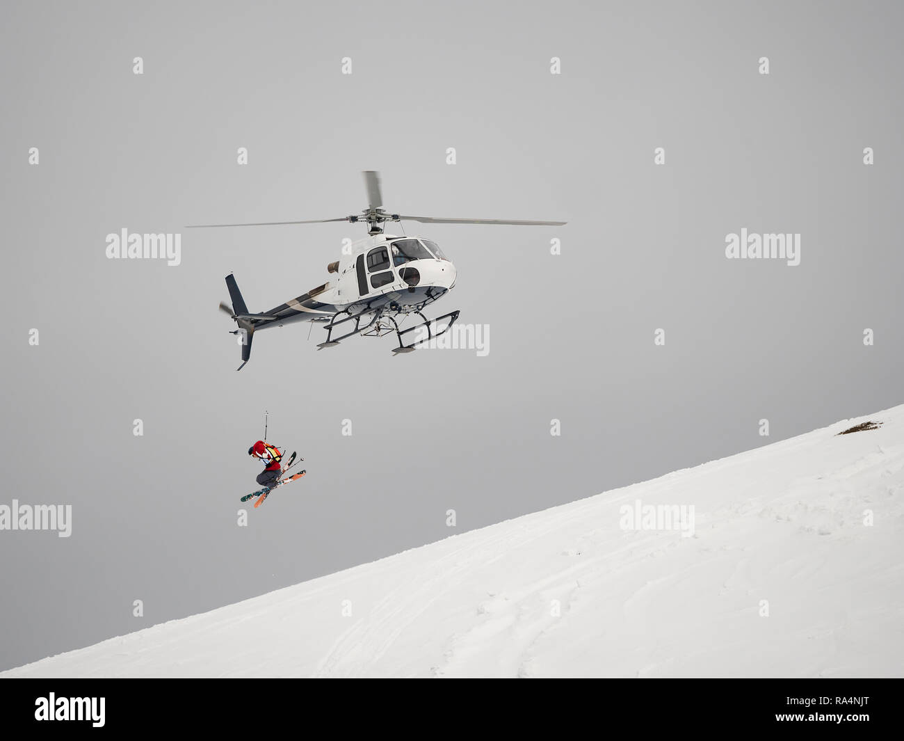 Skier freerider jumps from helicopter heliski on a snowy mountain Stock ...
