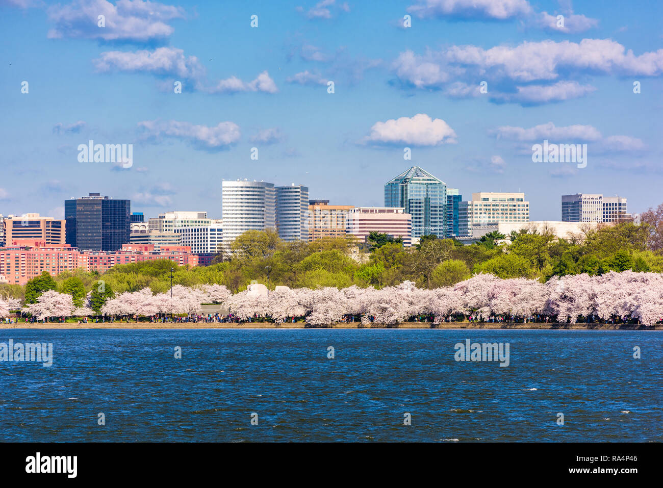 Washington dc usa tidal basin hi-res stock photography and images - Alamy