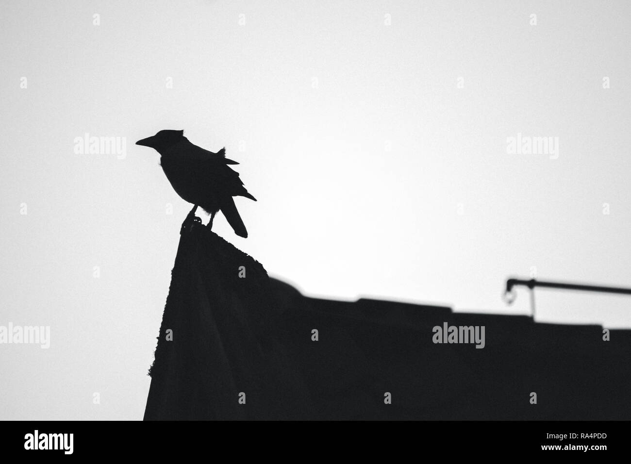 White and norway hi-res stock photography and images - Alamy