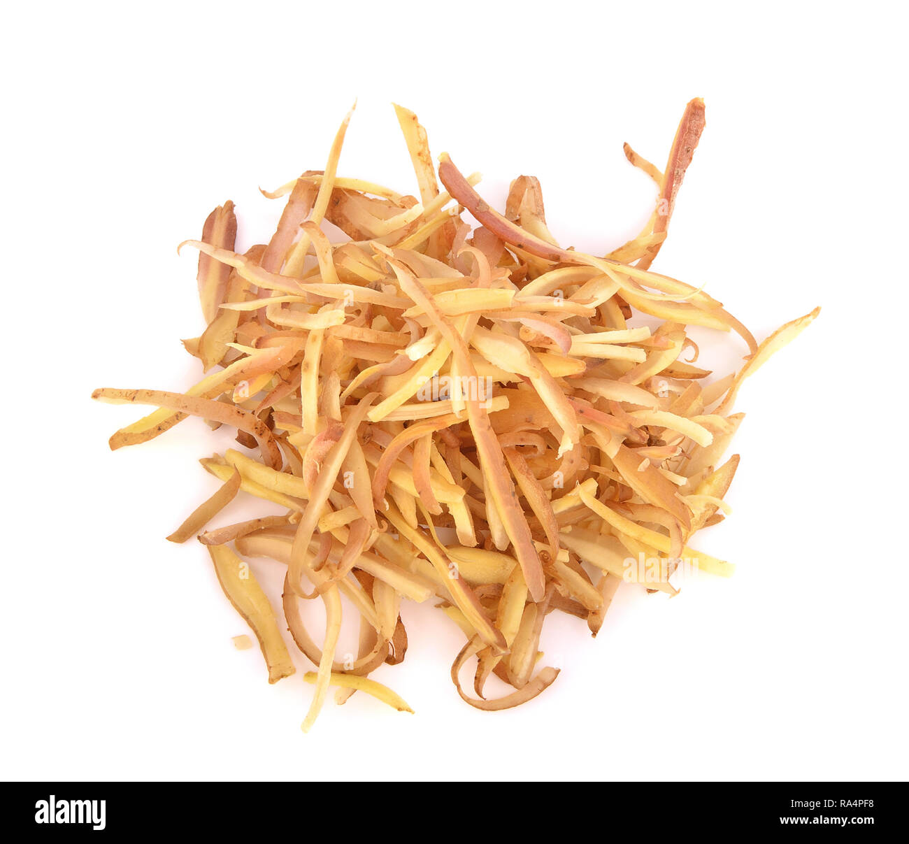 Fingerroot, Kaempfer, Boesenbergia on white background Stock Photo - Alamy