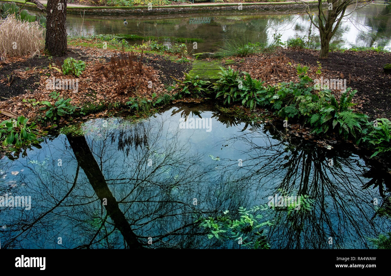 Deep blue pool hi-res stock photography and images - Alamy