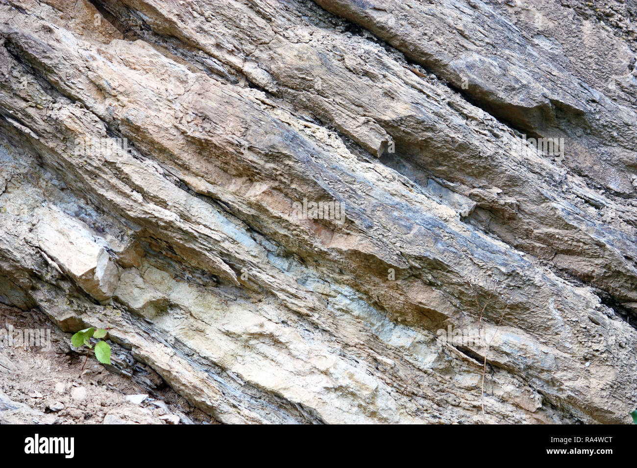 Natural slate background, closeup Stock Photo - Alamy
