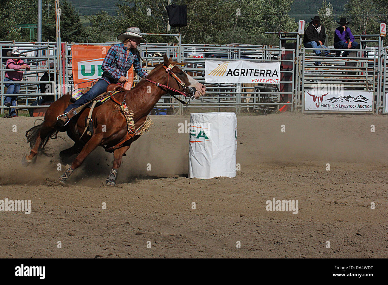 BARREL RACING at the Rodeo in Alberta, Canada Stock Photo - Alamy