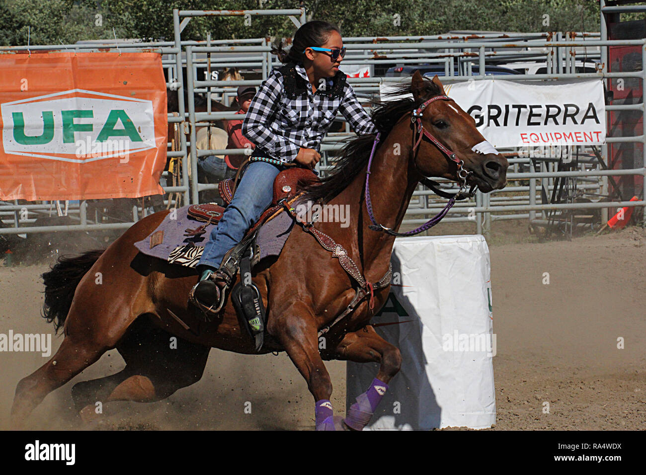 BARREL RACING at the Rodeo in Alberta, Canada Stock Photo - Alamy