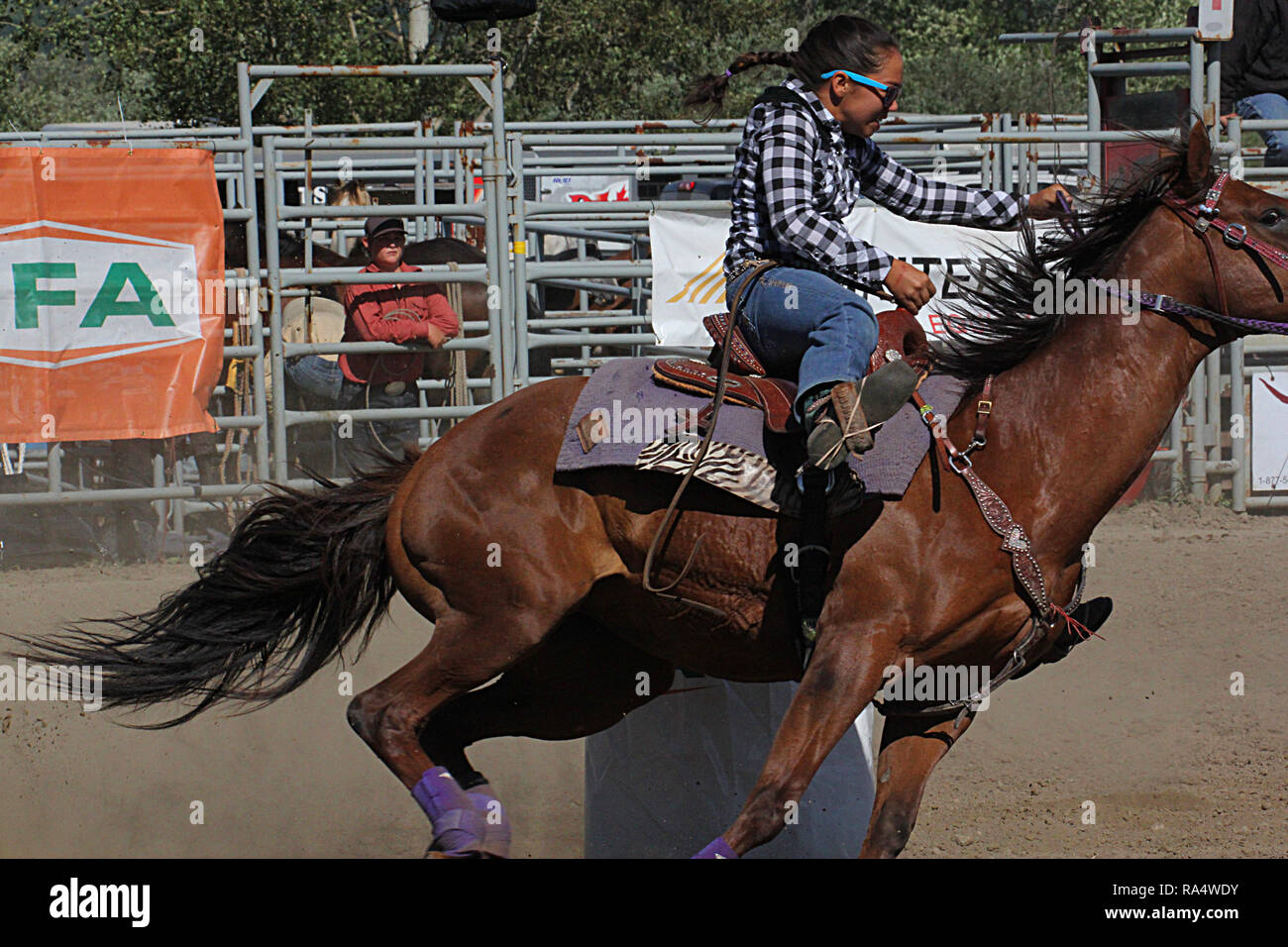 BARREL RACING at the Rodeo in Alberta, Canada Stock Photo - Alamy