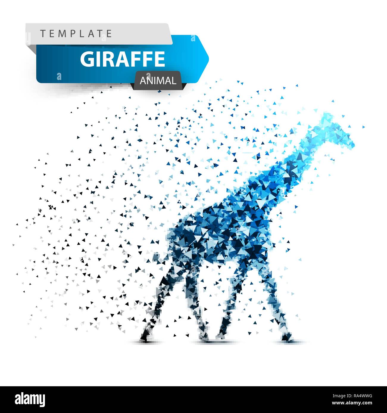 Giraffe illustration hi-res stock photography and images - Alamy