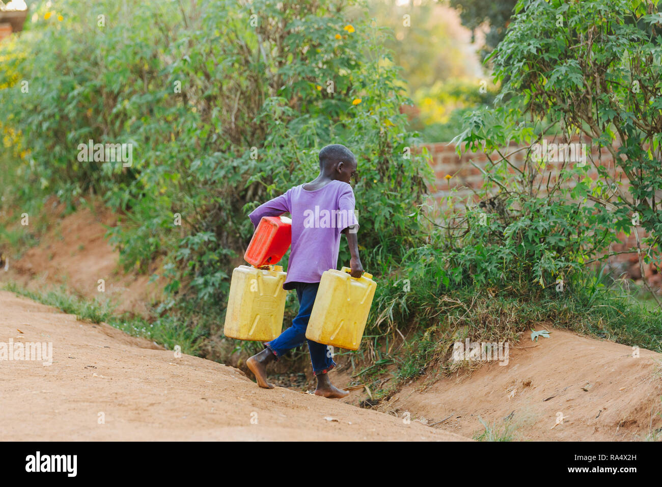 Child carrying water in Uganda, Africa Stock Photo - Alamy