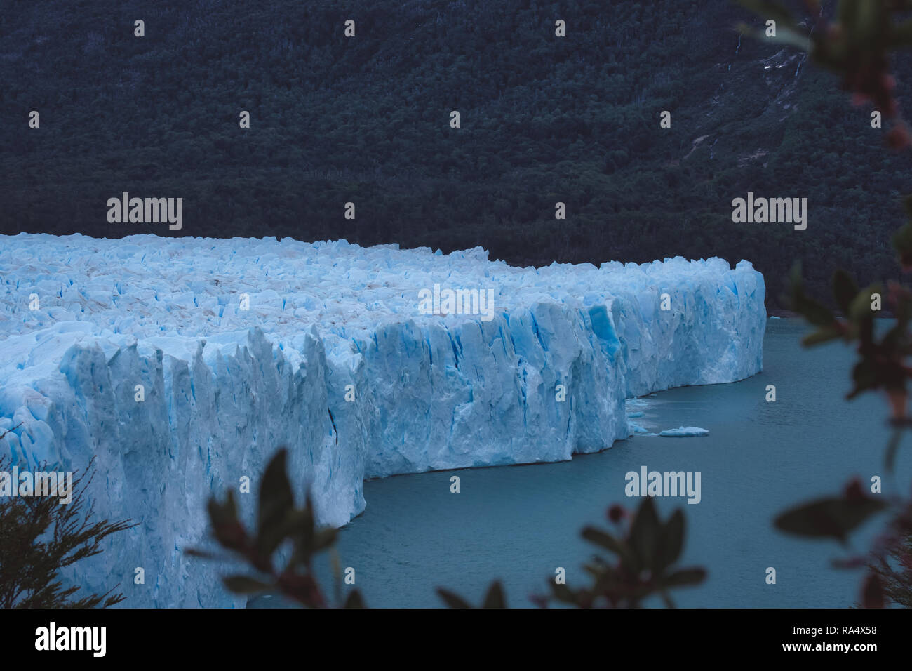 Overview of the end ice face with fractured blue ice of a large glacier ...