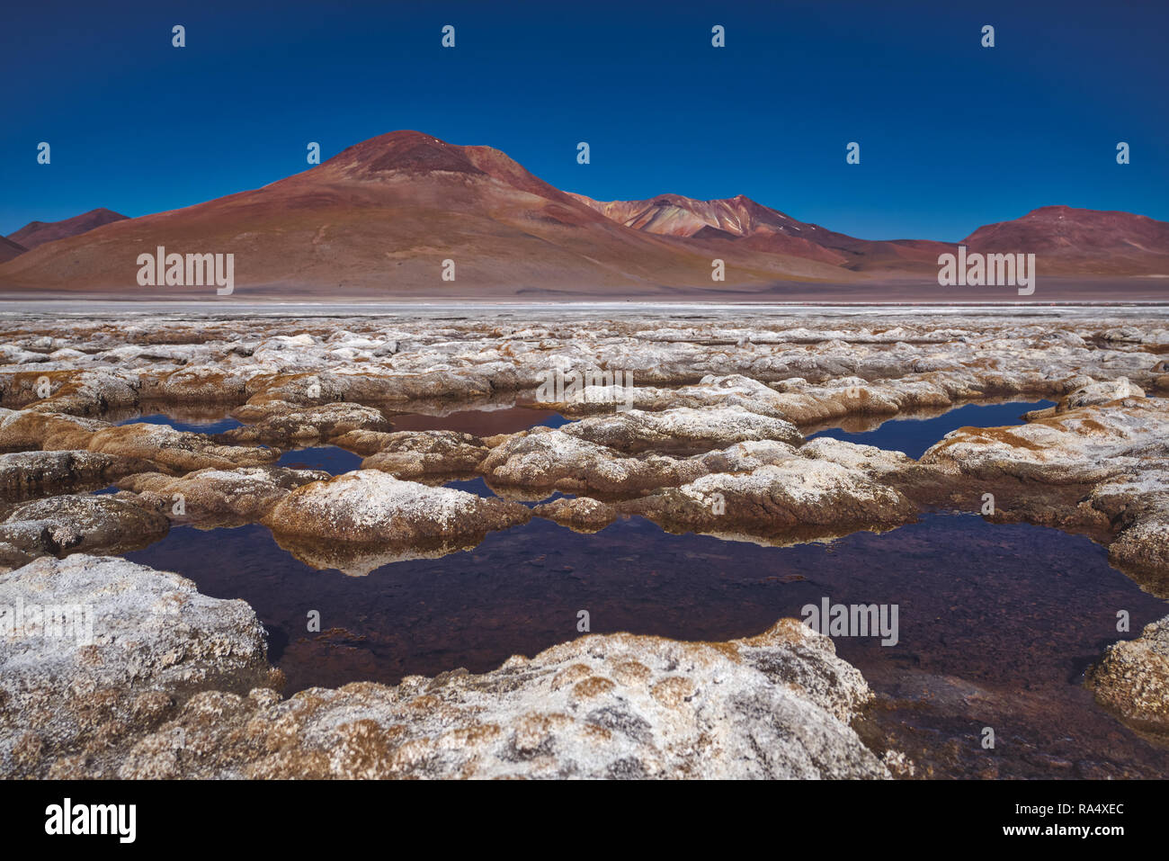 Dried salt deposits at Siloli, Bolivia reflected in the shallow water ...