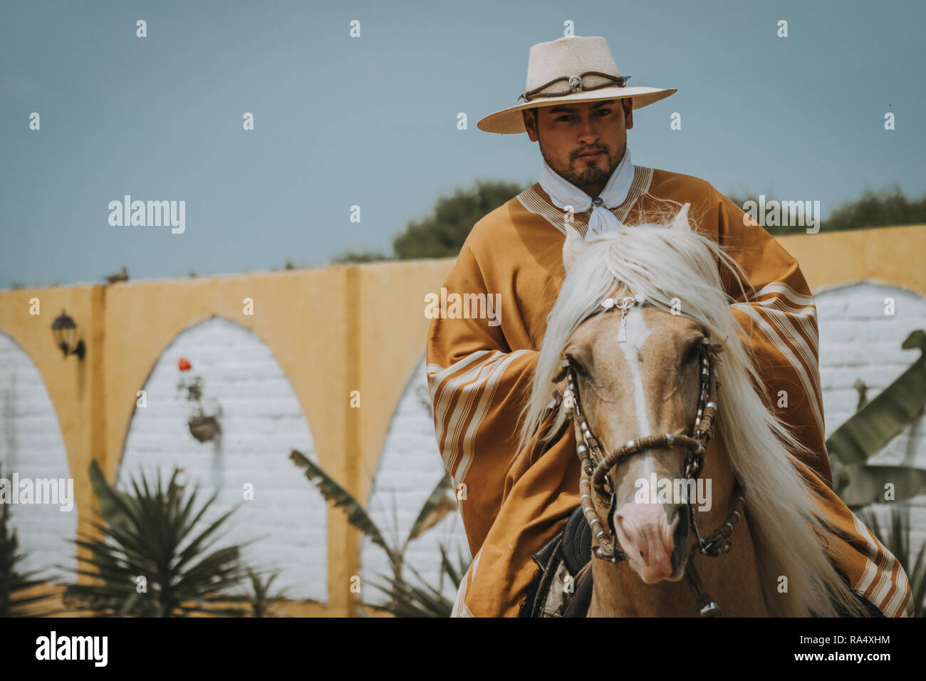 TRUJILLO, PERU - SEPTEMBER 2018 : Cowboy on horse in Peru, riding ...