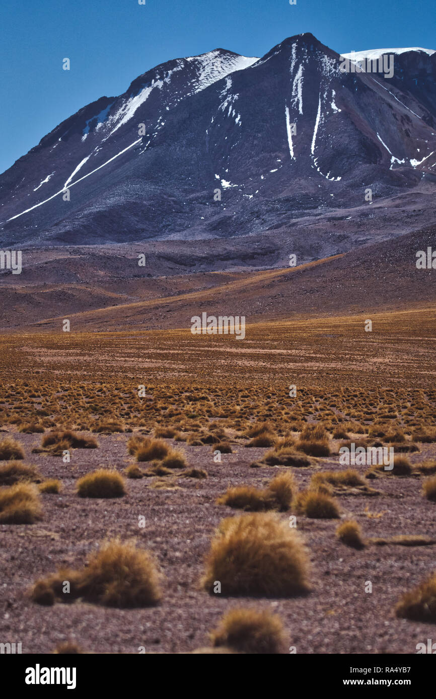 Arid desert landscape in the Andes with high snow-capped mountain peaks ...