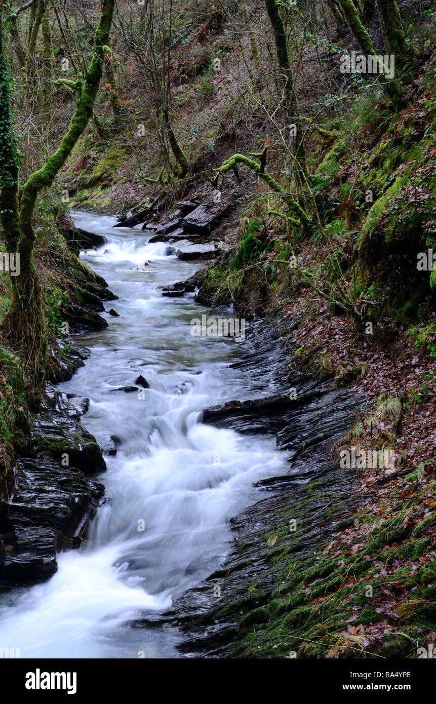 Gorlech river hi-res stock photography and images - Alamy