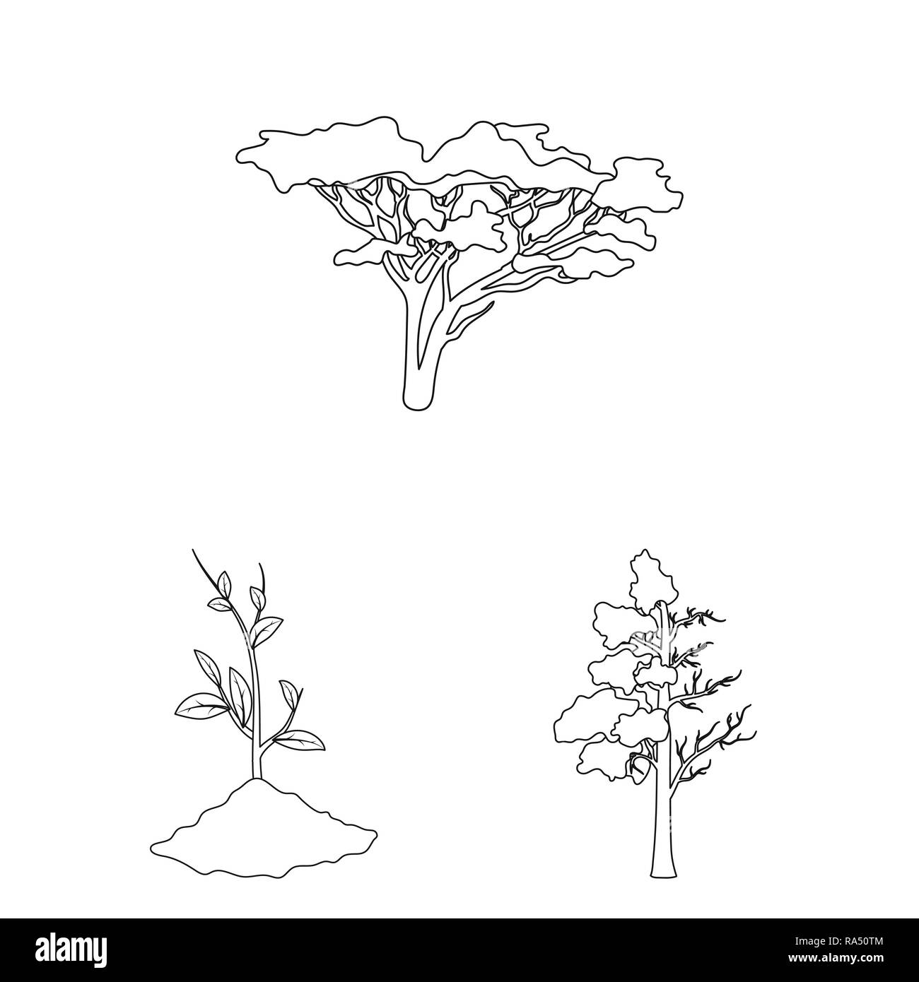 realistic,pine,silhouette,canopy,tree,forest,landscape,green,garden ...