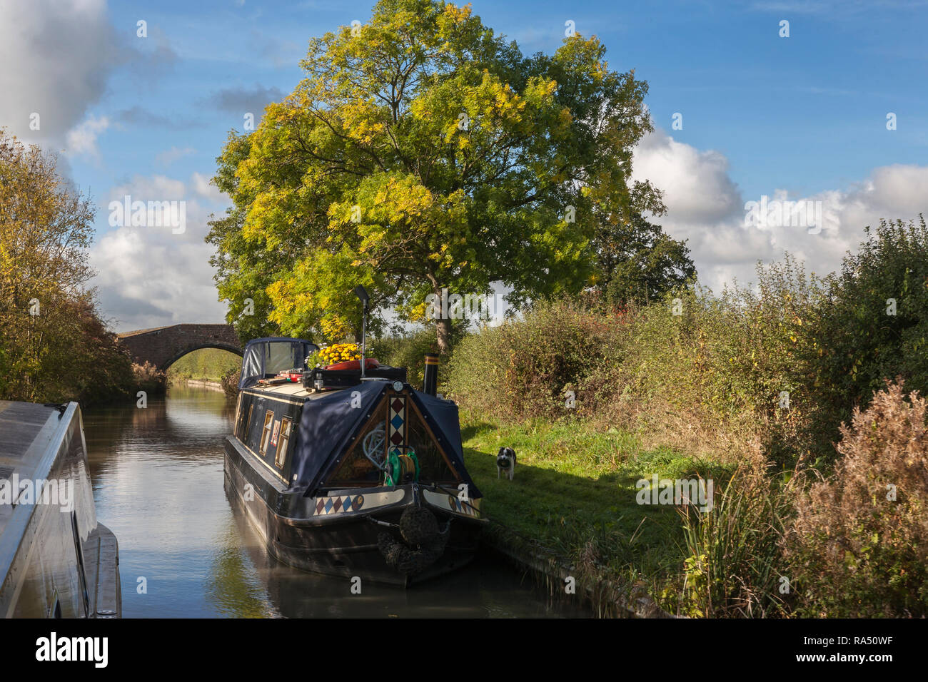 Passing a moored narrowboat on the approach to Bridge 75, North Oxford ...