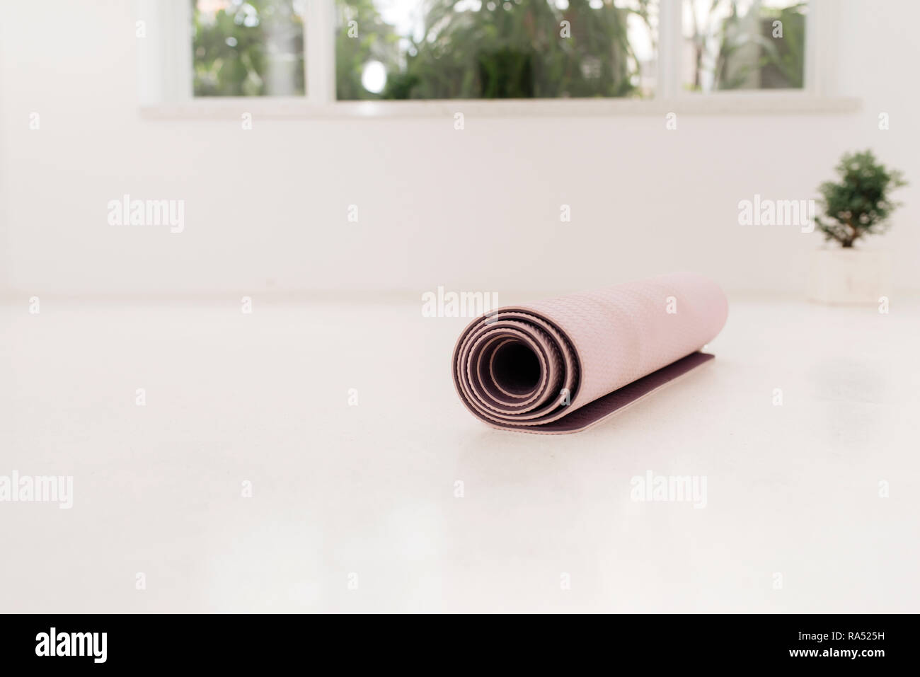 Rolled up yoga or pilates mat for exercise on natural wooden floor ...
