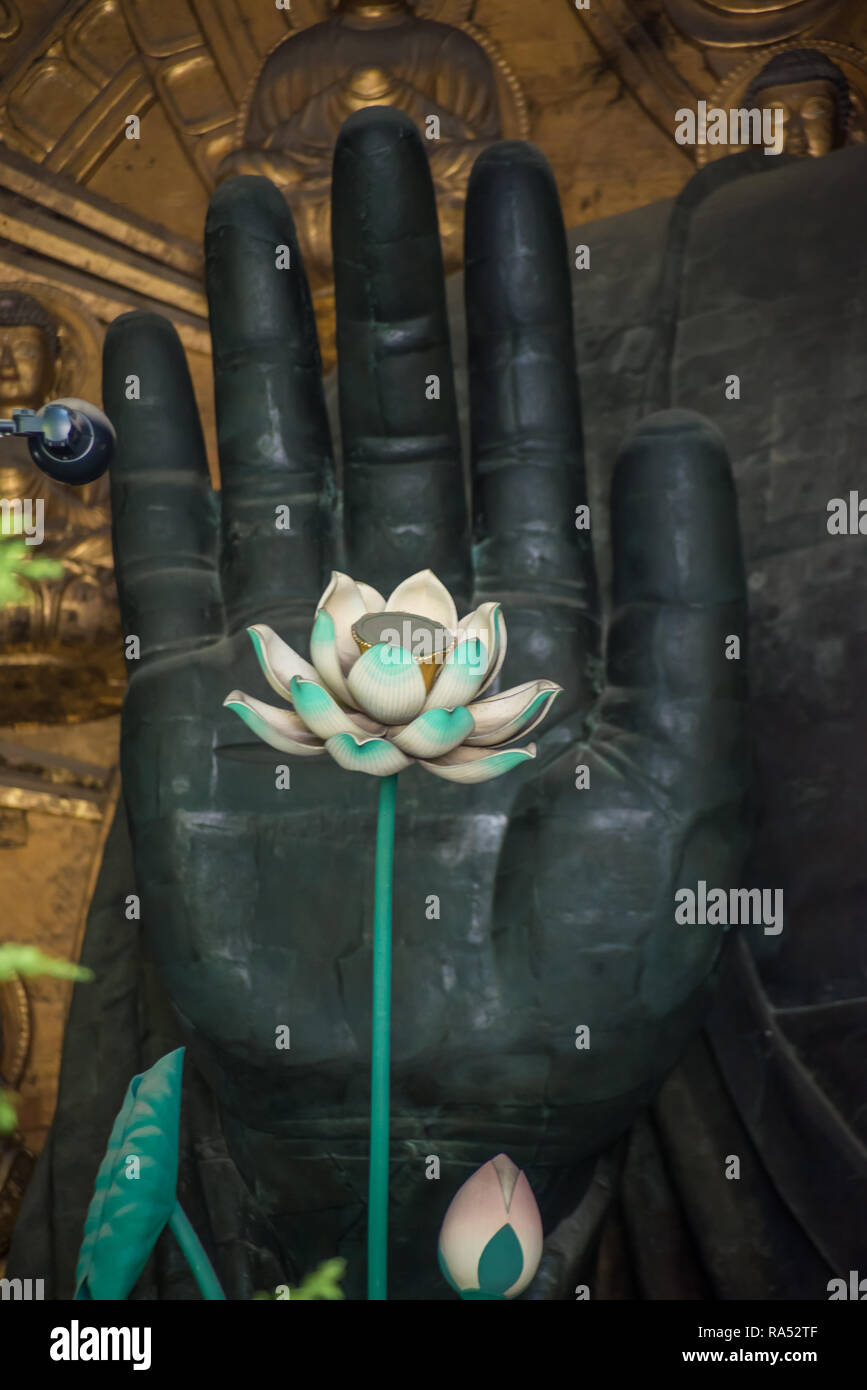 Buddha hand and lotus flower Todaiji Temple in Nara Stock Photo - Alamy