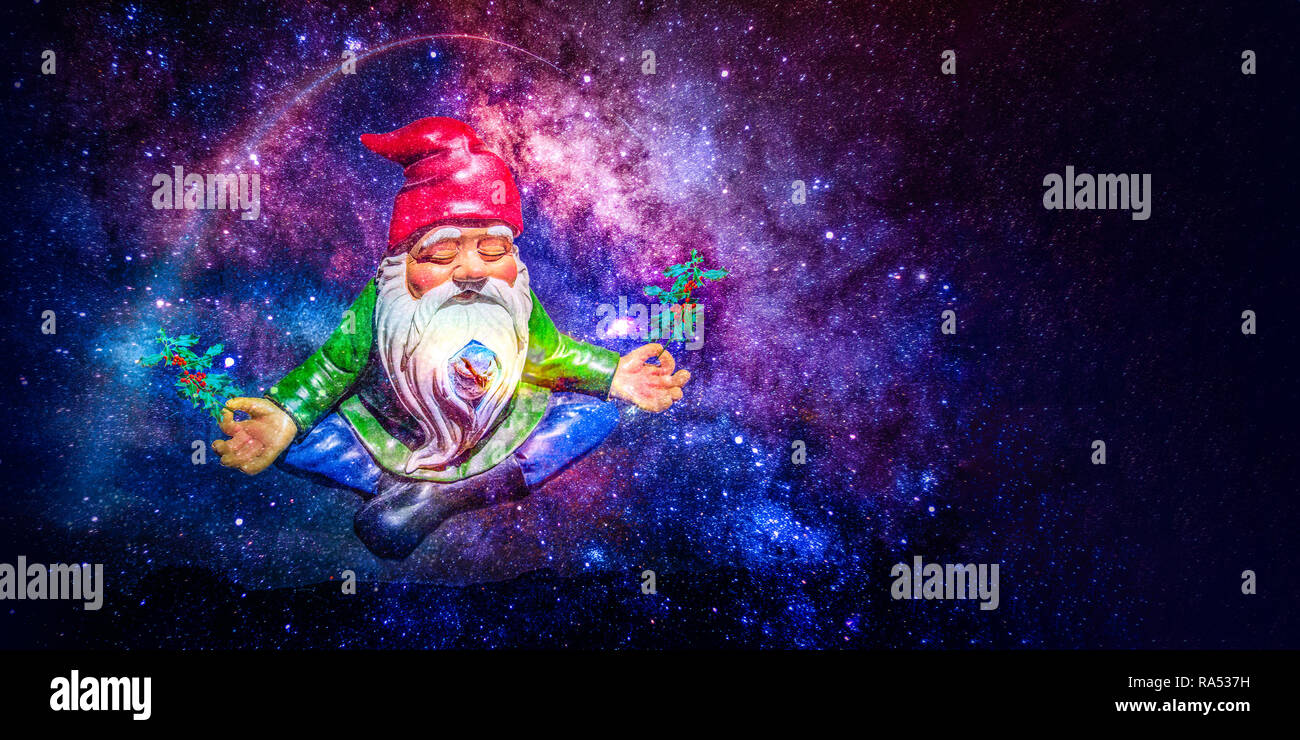 Holly red dwarf hi-res stock photography and images - Alamy