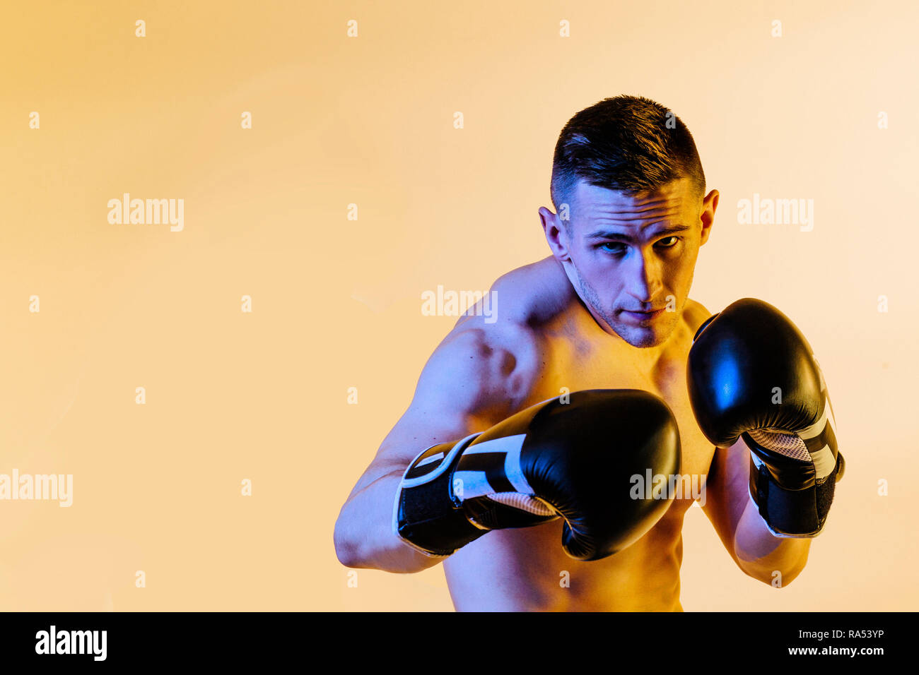 studio portrait of a boxer in defense position Stock Photo - Alamy