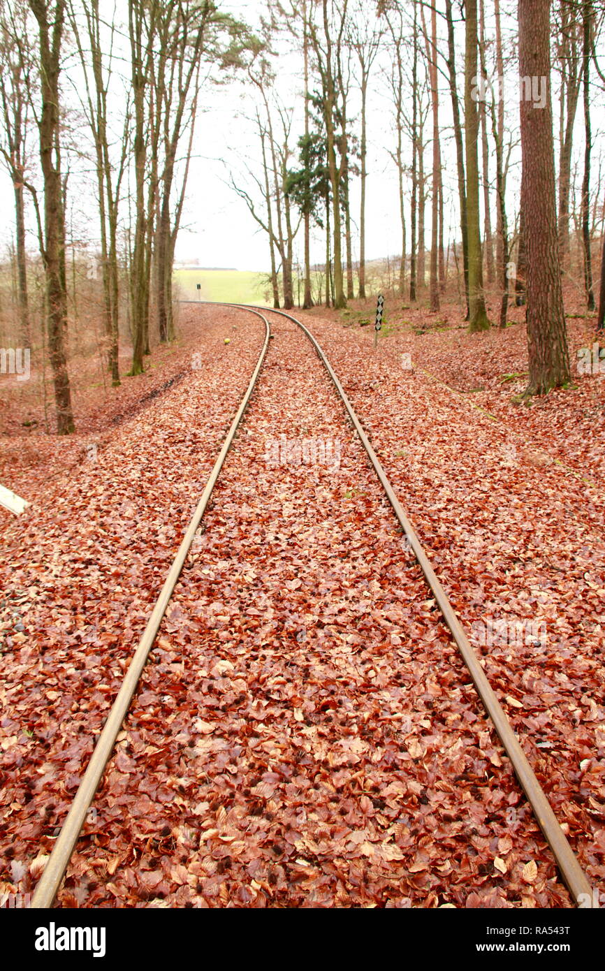 Railway tracks run straight away from the viewer Stock Photo - Alamy