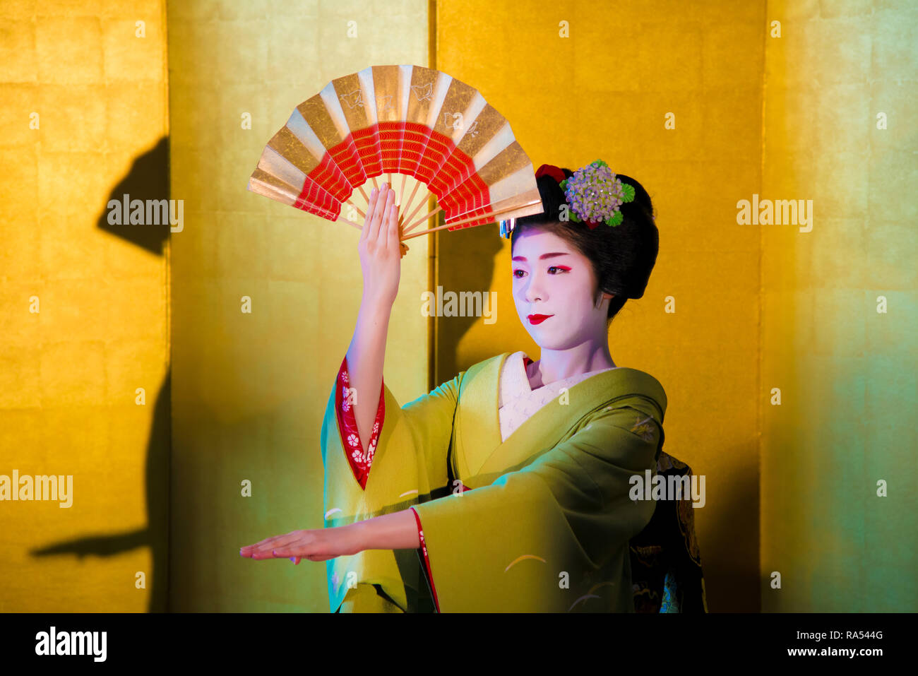 Geisha shows her performance in Japan. Japan is a country located in ...