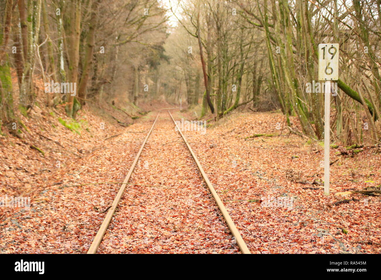 Railway tracks run parallel hi-res stock photography and images - Alamy