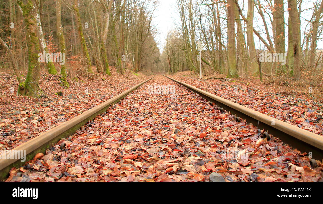 Railway tracks run parallel hi-res stock photography and images - Alamy