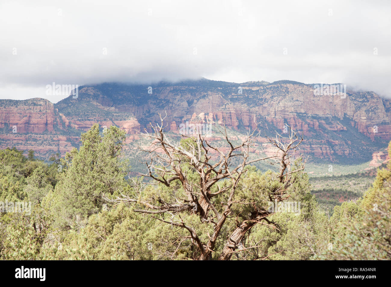 red rock buttes in sedona arizona Stock Photo - Alamy