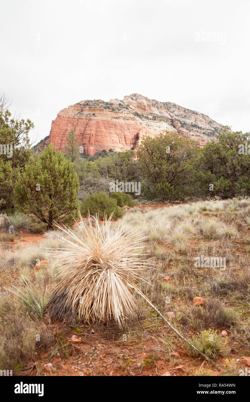 Red rock buttes hi-res stock photography and images - Alamy