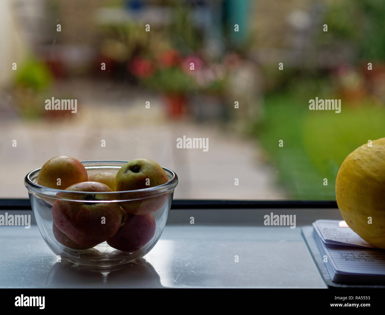 Fruit in focus hi-res stock photography and images - Alamy