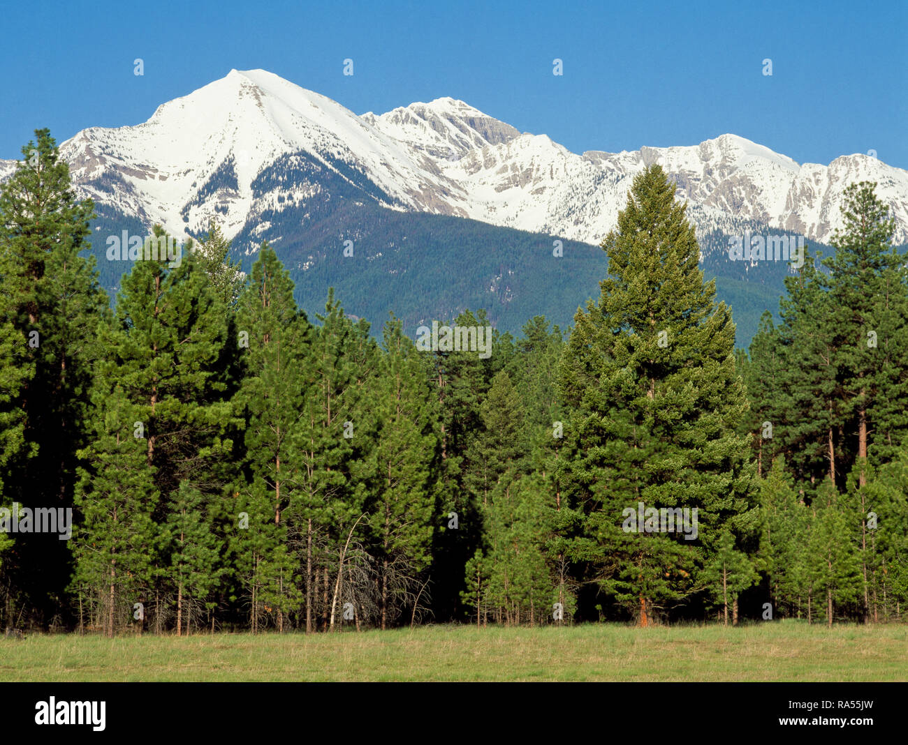 snow-capped peaks of the swan range near condon, montana Stock Photo ...