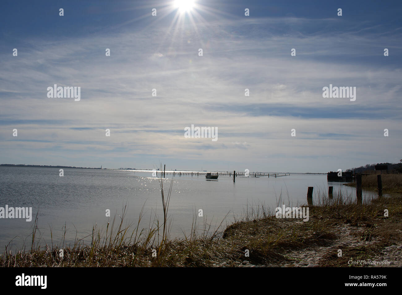 Landscape of Watts Bay on Eastern Shore of Virginia from Waters Edge ...