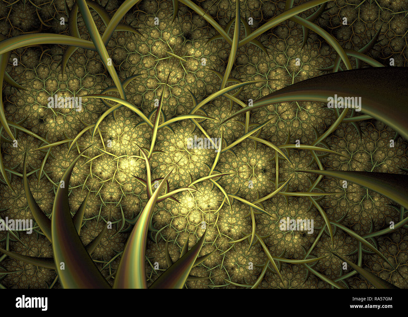 Tangled structure of thin twisted tree branches resemble a network of ...