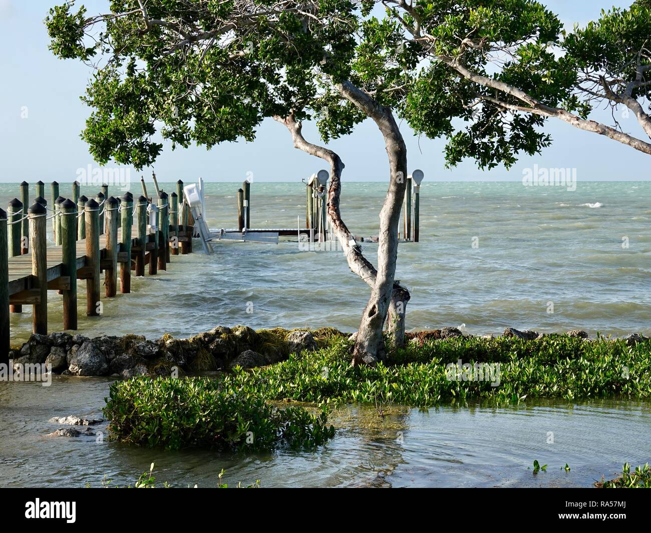 Rough waves from the Gulf of Mexico batter a small, private dock during ...