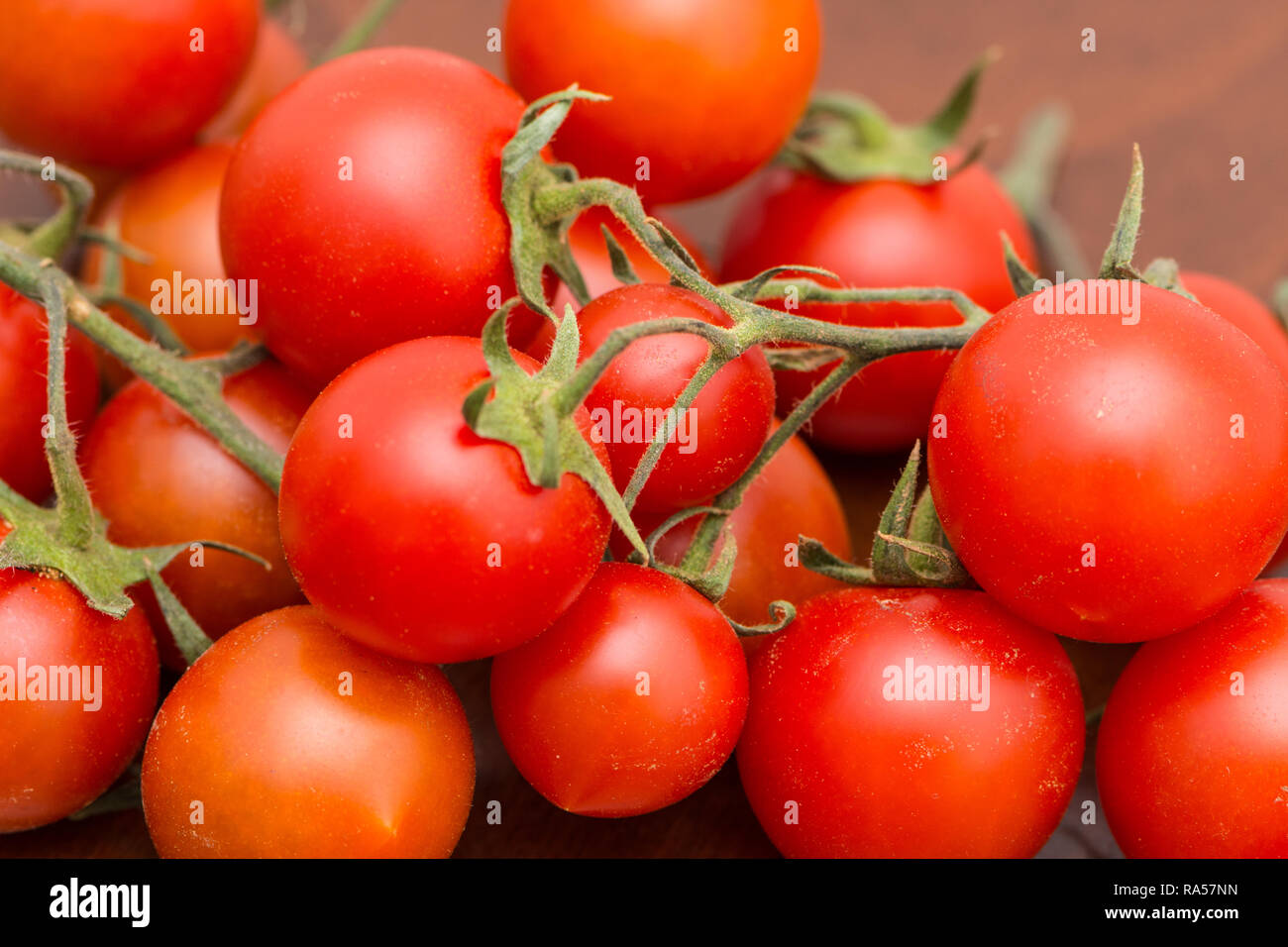 Isolated small piccolo cherry tomatoes on the vine. Perfect bite-sized ...