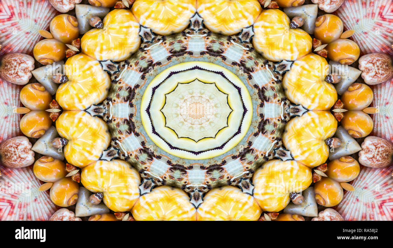 Abstract Dry Seashells and Stars Concept Symmetric Pattern Ornamental ...