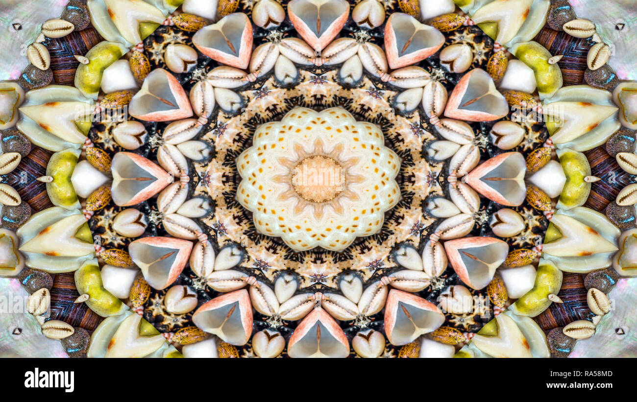 Abstract Dry Seashells and Stars Concept Symmetric Pattern Ornamental ...