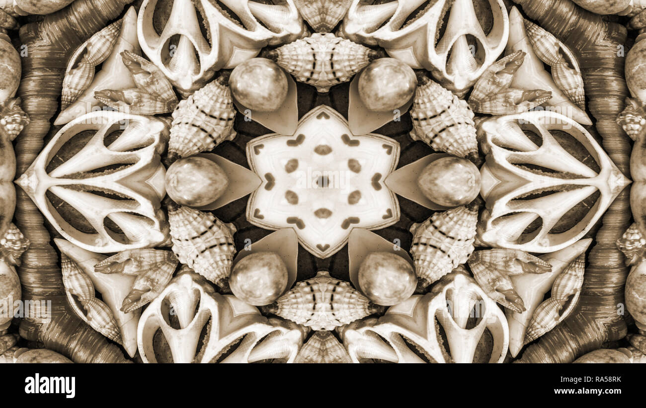 Abstract Dry Seashells and Stars Concept Symmetric Pattern Ornamental ...