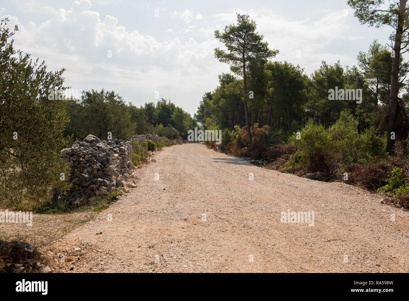 Empty macadam and dusty road trough wilderness and forest of Croatian ...