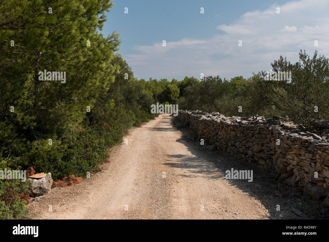 Empty macadam and dusty road trough wilderness and forest of Croatian ...