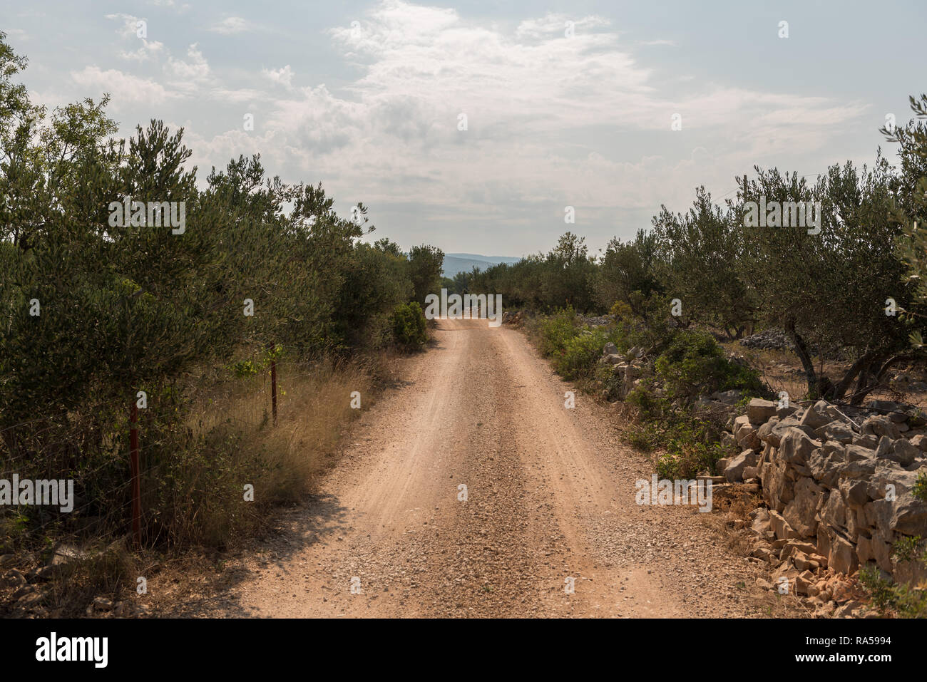 Empty macadam and dusty road trough wilderness and forest of Croatian ...