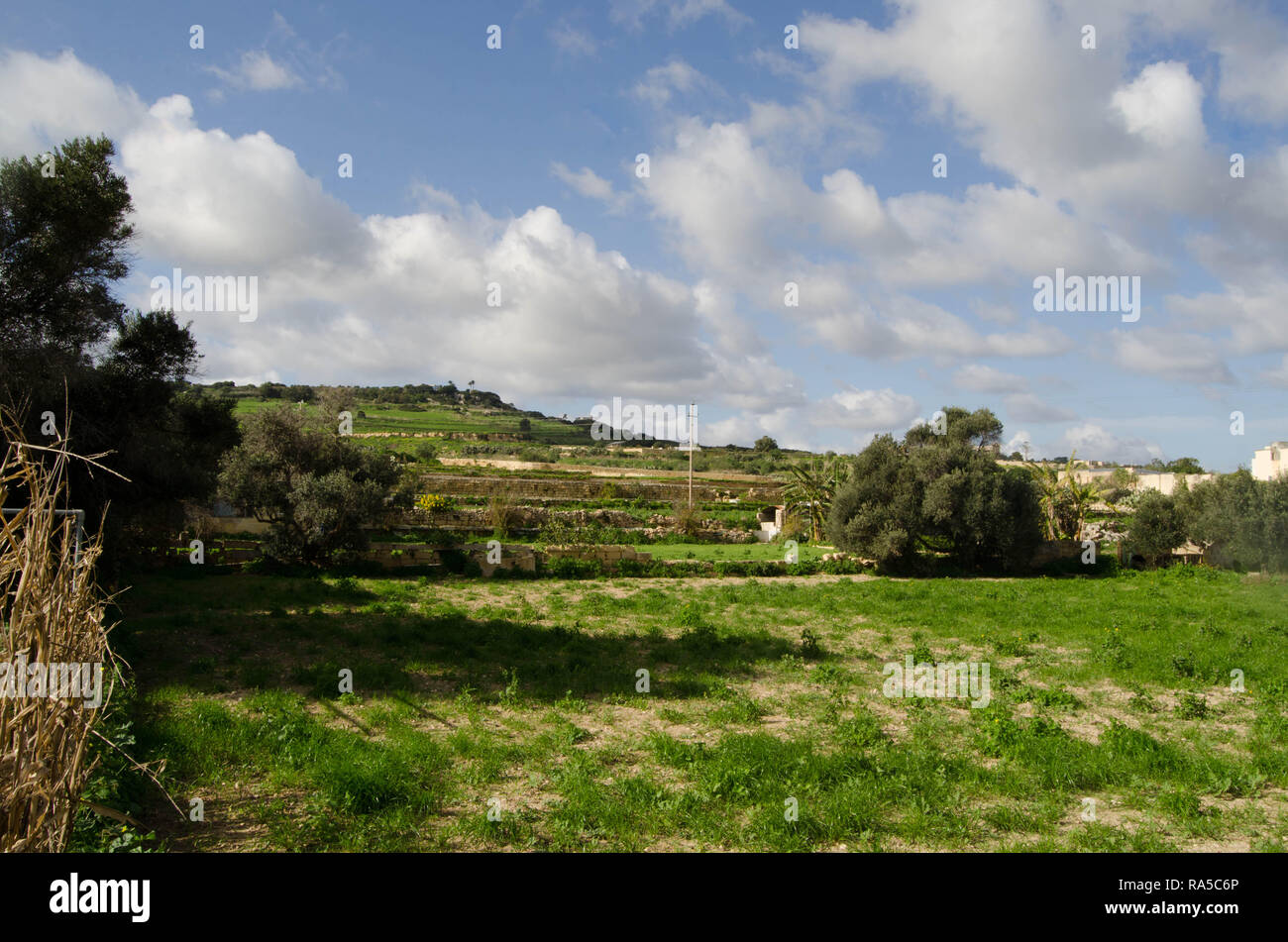 Malta landscape somewhere between Mosta and Burmarrad, with old stone ...
