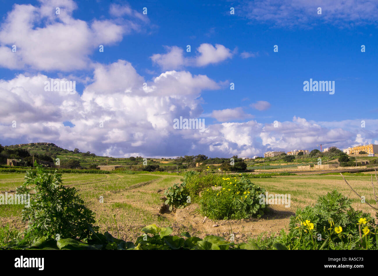 Malta landscape somewhere between Mosta and Burmarrad, with old stone ...