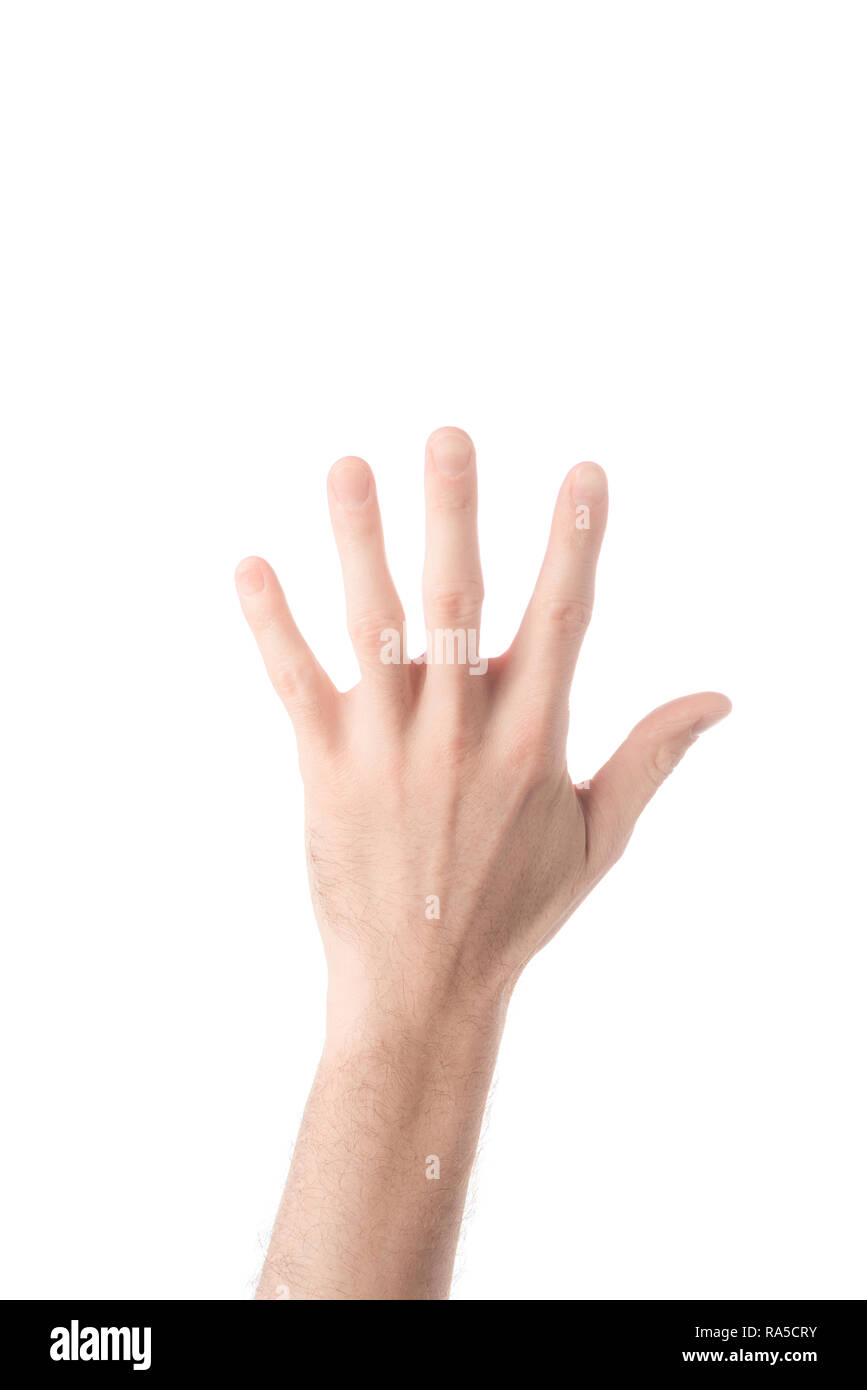 partial view of man showing number 5 in sign language isolated on white ...